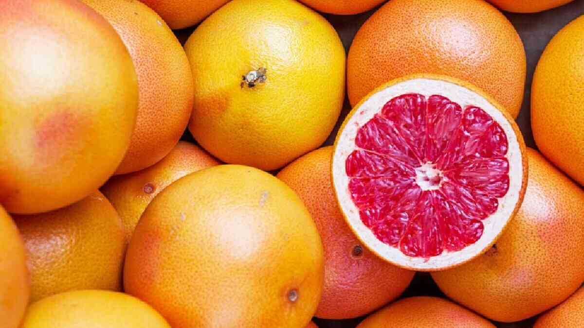 Grapefruit – agromax